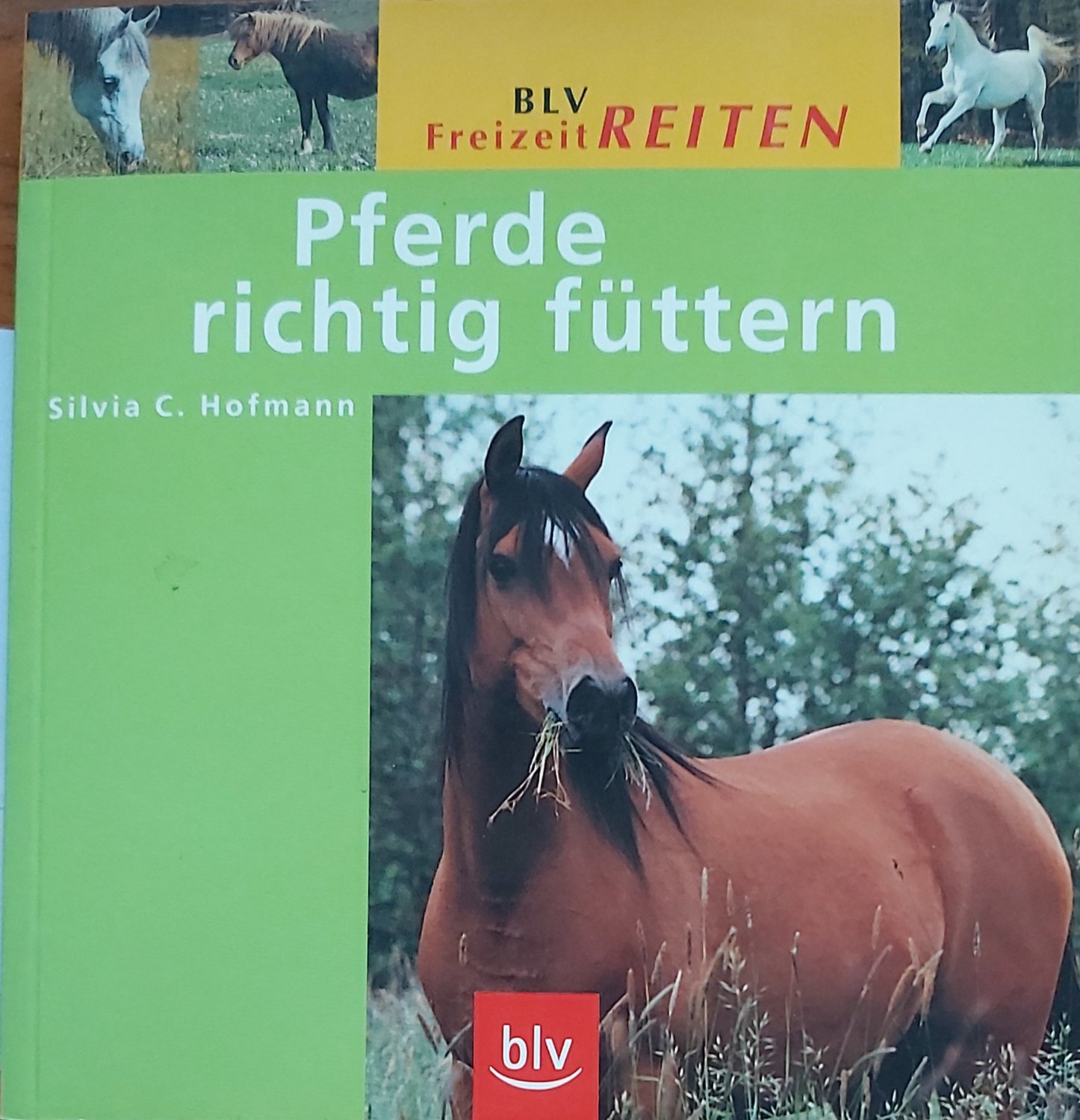„Silvia C., Hofmann“ – Bücher gebraucht, antiquarisch & neu kaufen