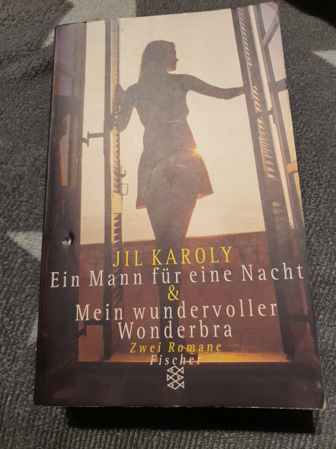 „Ein Mann für eine Nacht /Mein wundervoller Wonderbra - …“ (Jil Karoly ...