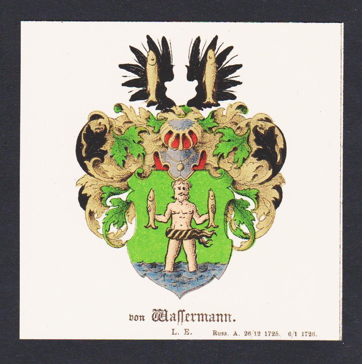von Wassermann Wappen Heraldik coat of arms heraldry Litho“ – Buch ...