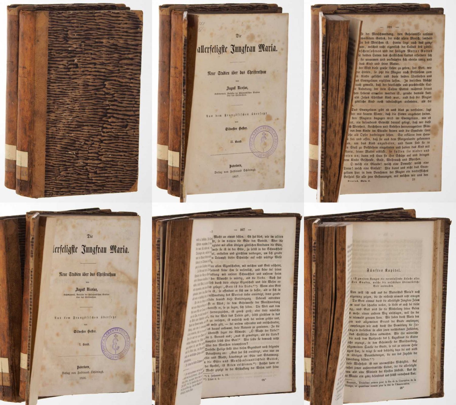 „Die allerseligste Jungfrau Maria Neue Studien über das Christenthum ...