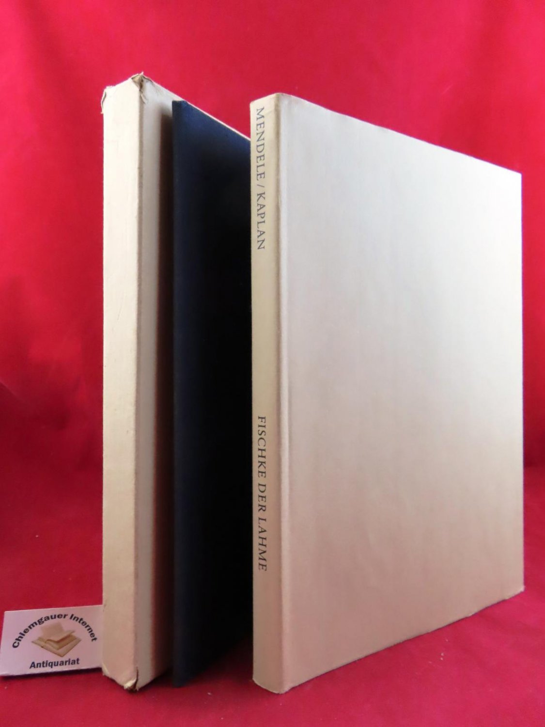 „Fischke der Lahme Bettlerroman Mit Radierungen von Anatoli Kaplan Aus ...