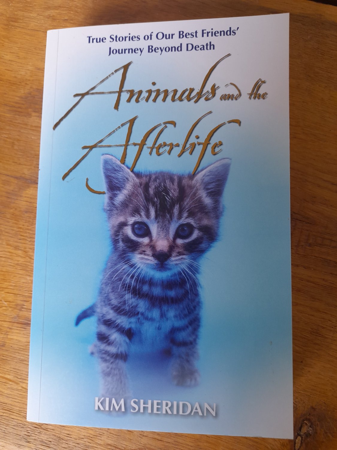 ISBN 1848502427 – gebraucht, antiquarisch & neu kaufen