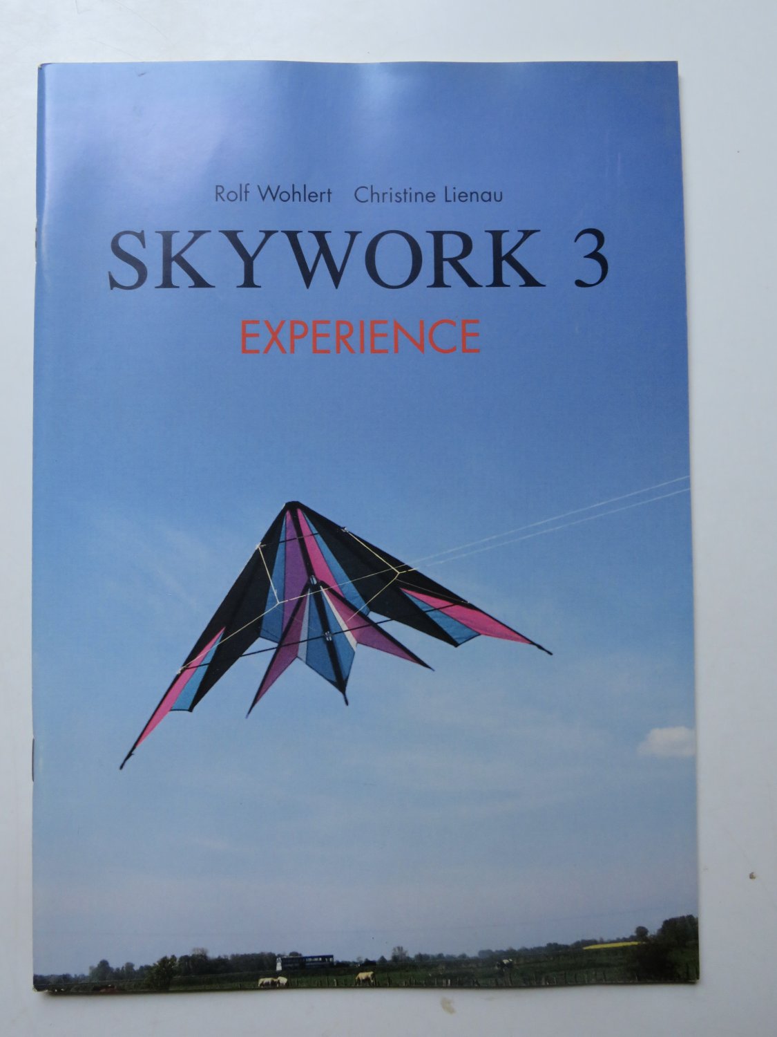 Bücher vom Verlag „Skywork“ – Bücher gebraucht, antiquarisch & neu kaufen