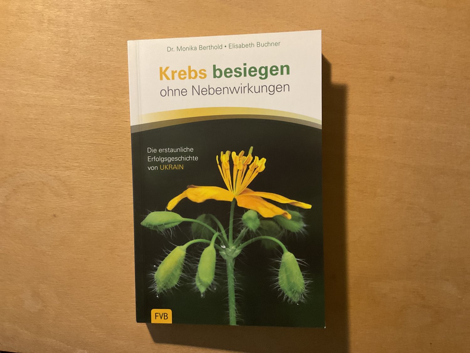 „Berthold Monika; Buchner Elisabeth“ – Bücher gebraucht, antiquarisch ...