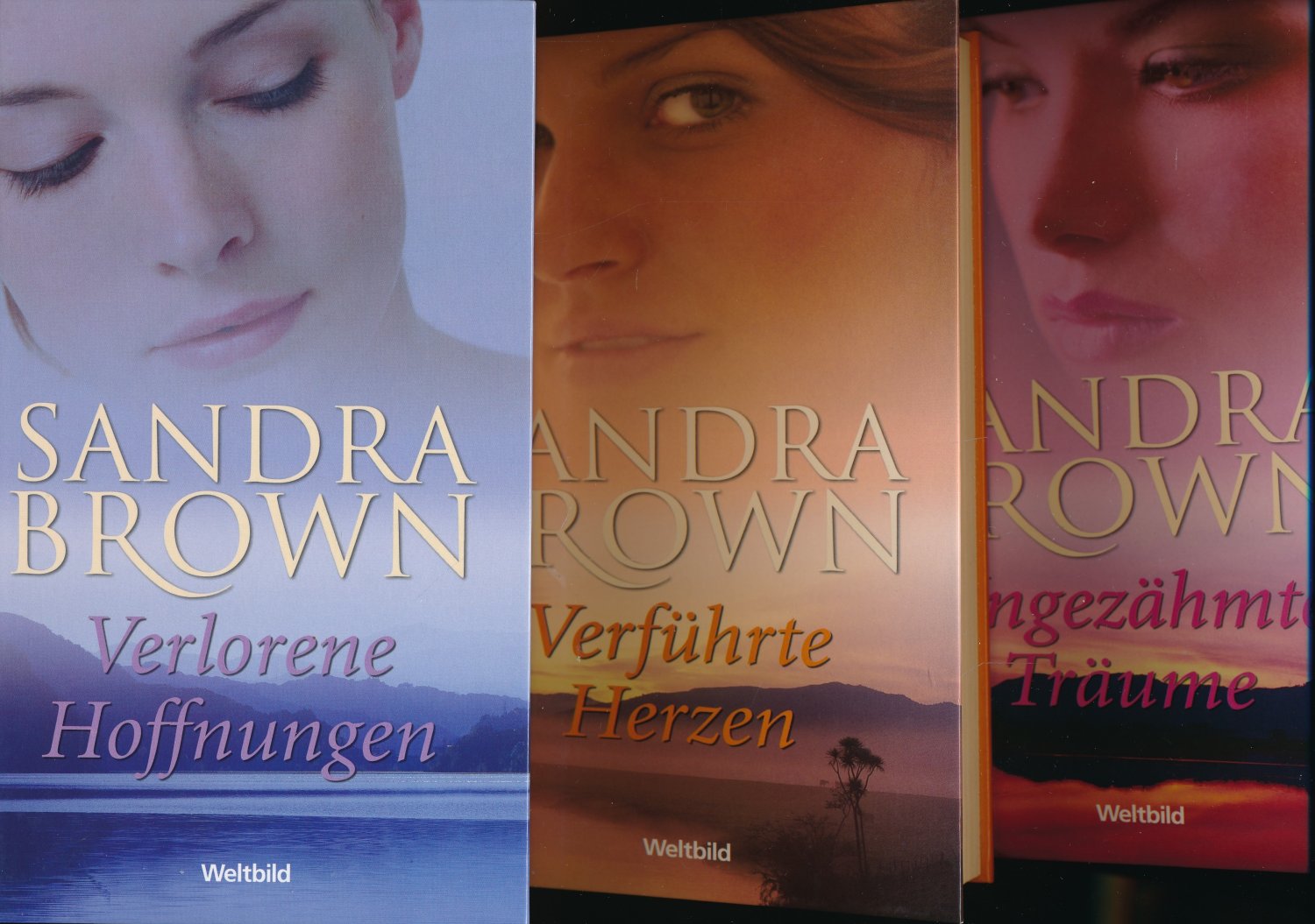 „Verlorene Hoffnung + Verführte Herzen + Ungezähmte Träume …“ (Sandra ...