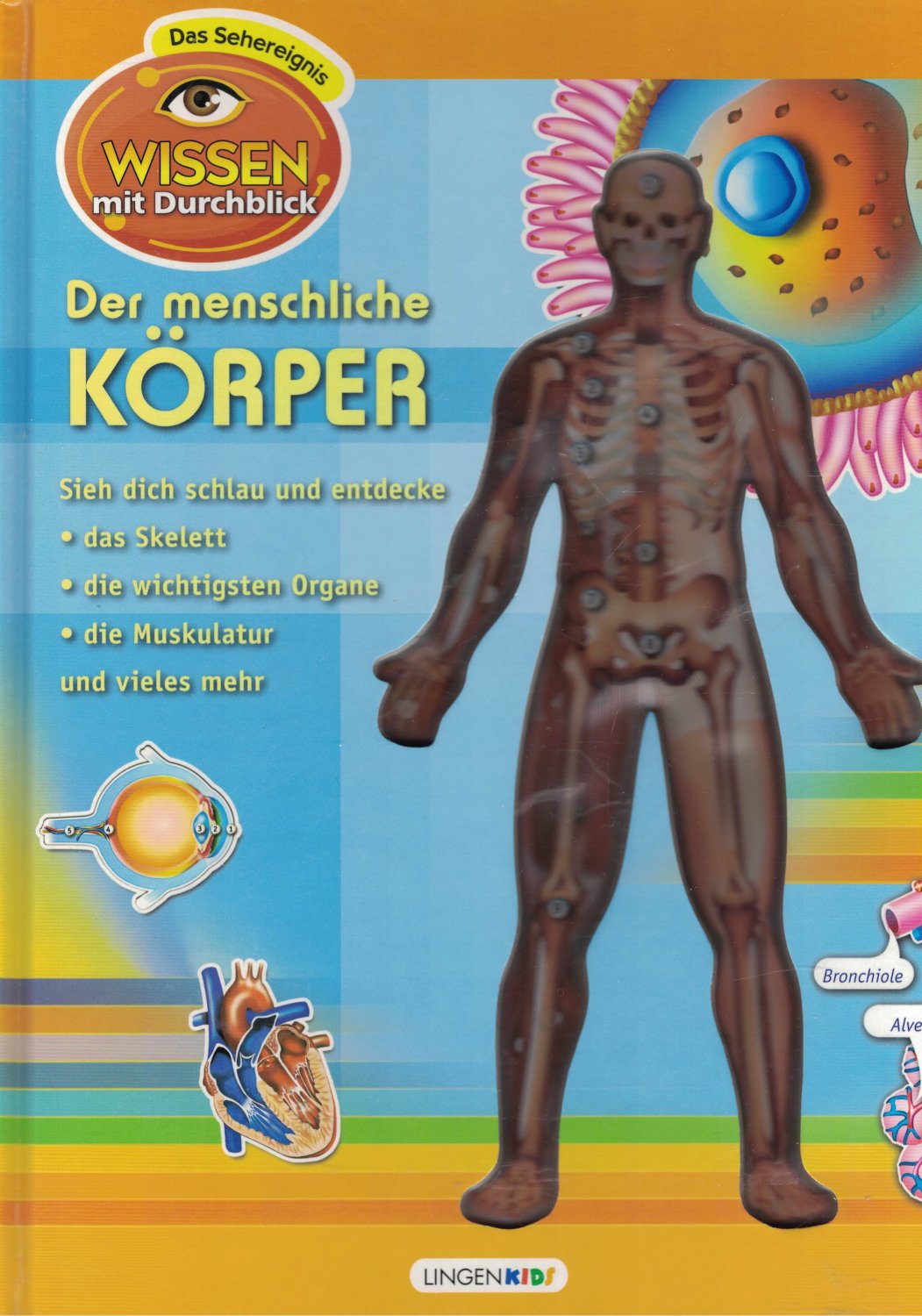 „Wissen mit Durchblick: Der menschliche Körper.“ – Buch Erstausgabe kaufen – A02HjgUG01ZZH