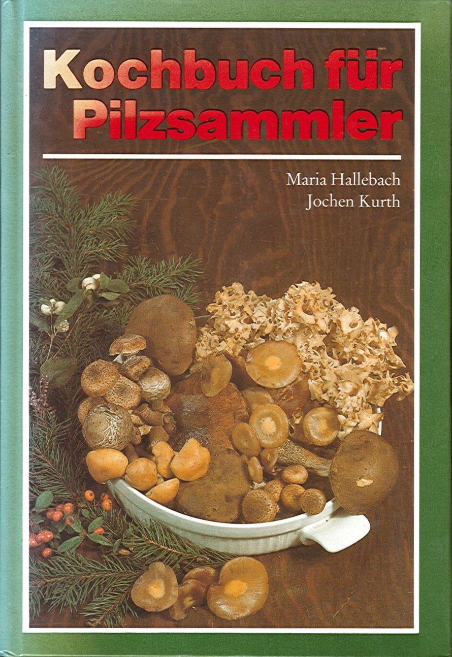 „Hallebach Maria / Kurth Jochen“ – Bücher gebraucht, antiquarisch & neu ...