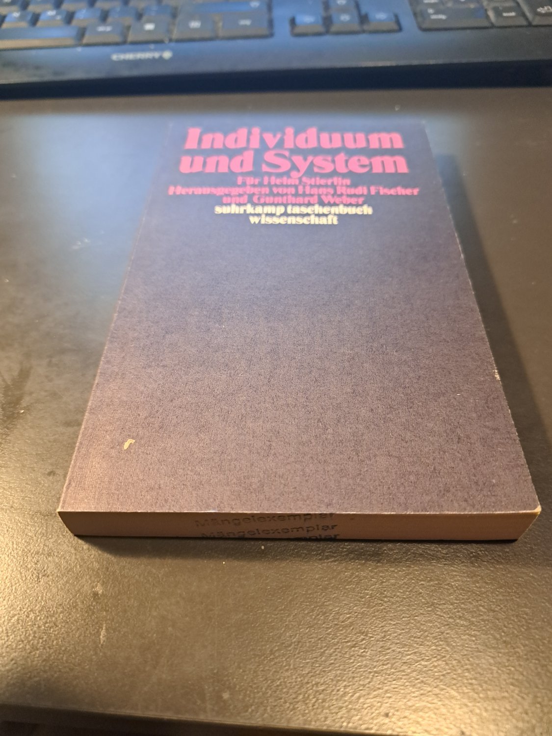 ISBN 9783518290491 "Individuum und System – Für Helm Stierlin" – gebraucht, antiquarisch & neu ...