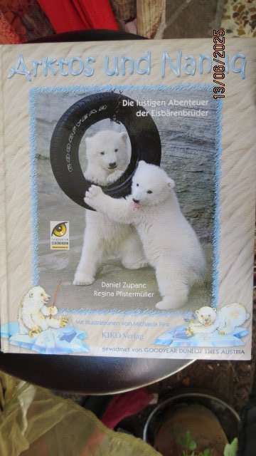„Arktos und Nanuq - die lustigen Abenteuer der Eisbärenbrüder“ – Bücher ...
