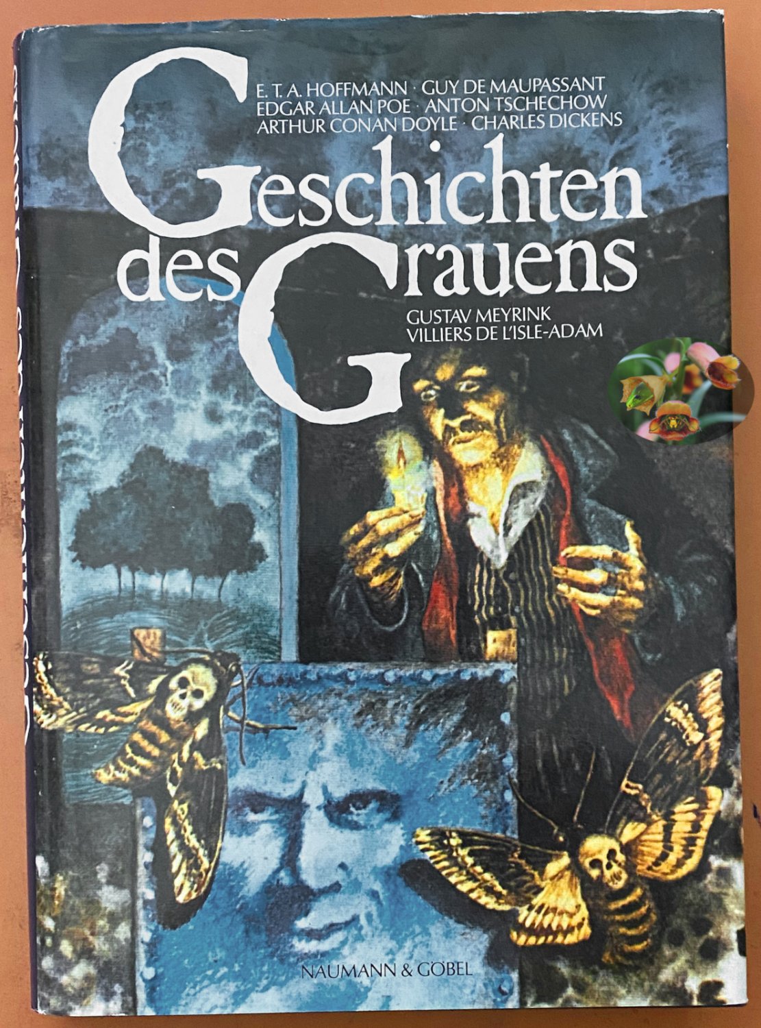 „Haman, Ales; Zitkova“ – Bücher gebraucht, antiquarisch & neu kaufen