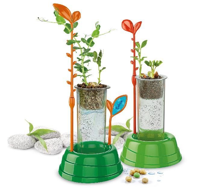 „Erkunde die Botanik und Hydrokultur “ – Spiel neu kaufen – A02AwPdt41ZZ0