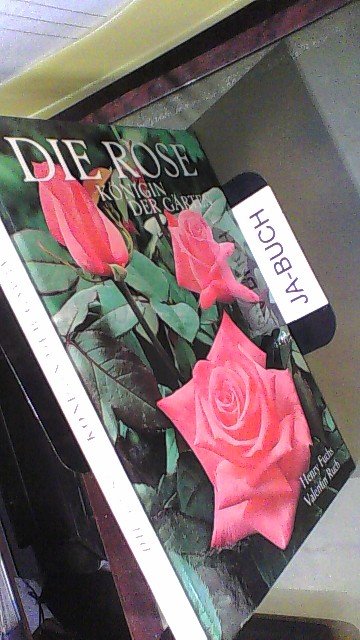 „Fuchs Henry Und Valentin Ruch“ – Bücher gebraucht, antiquarisch & neu ...