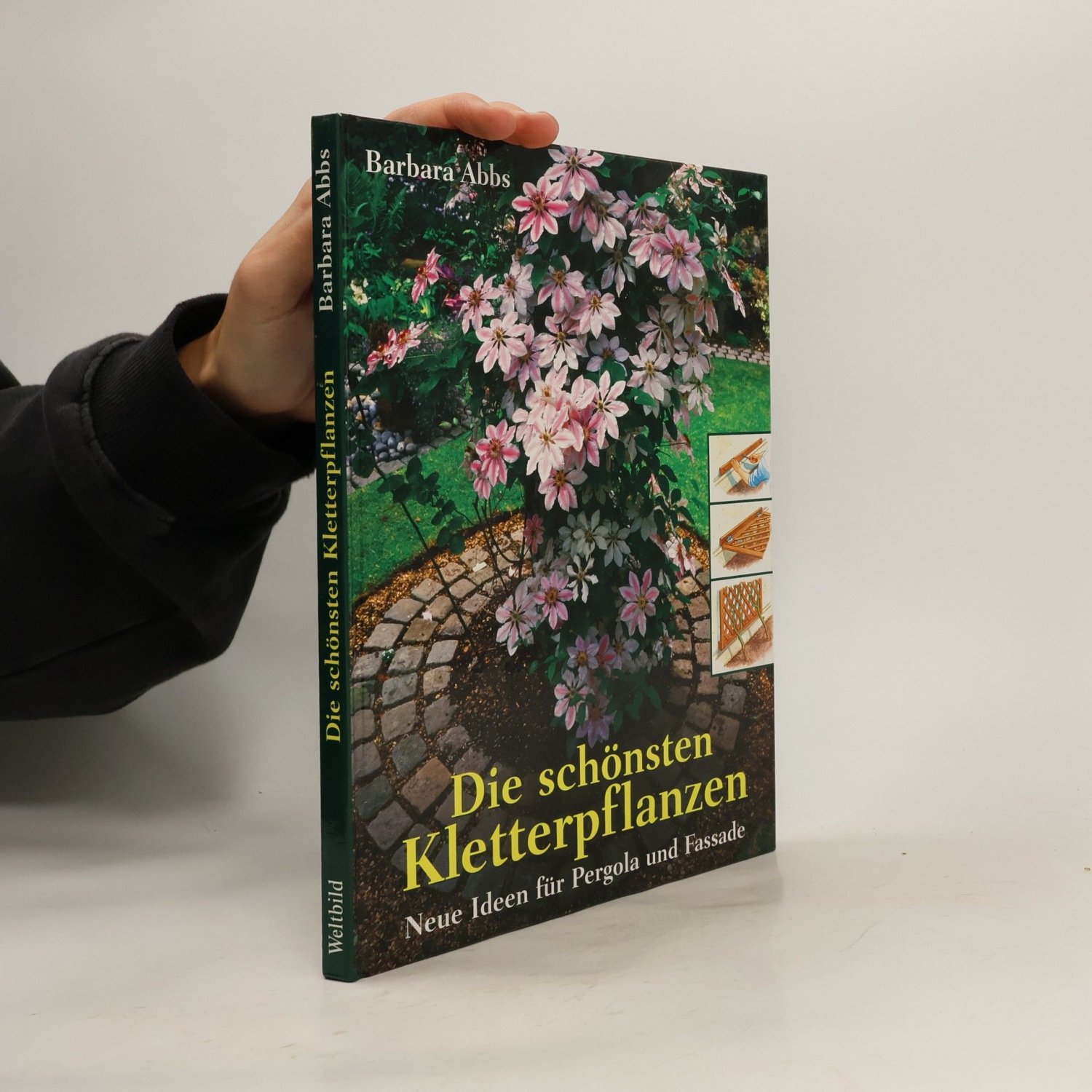 „Barbara Abbs, Die schönsten Kletterpflanzen“ – Bücher gebraucht ...