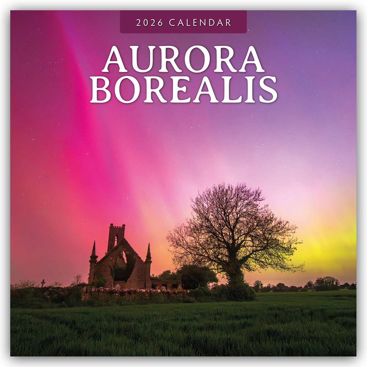 „Aurora Borealis 2026“ – Bücher gebraucht, antiquarisch & neu kaufen