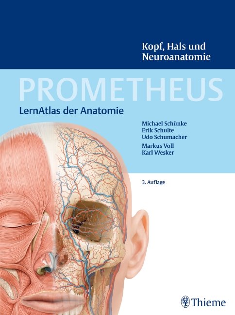 „PROMETHEUS Kopf Hals und Neuroanatomie - LernAtlas Anatomie“ – Bücher ...