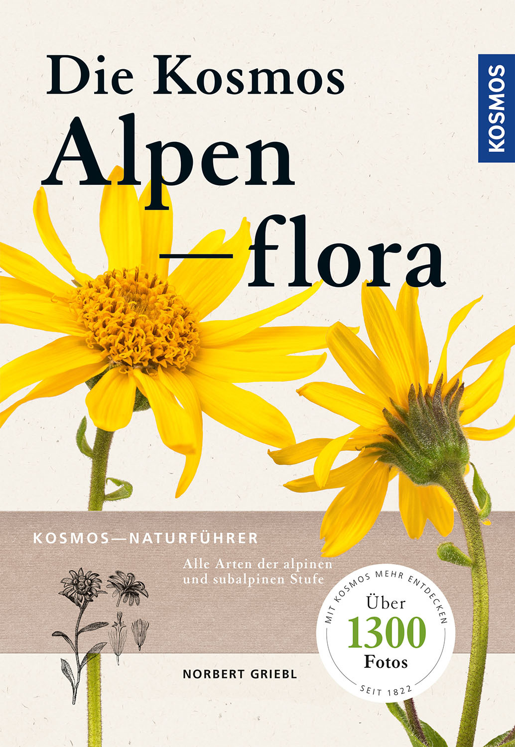 „Alpenflora Bestimmen“ – Bücher gebraucht, antiquarisch & neu kaufen