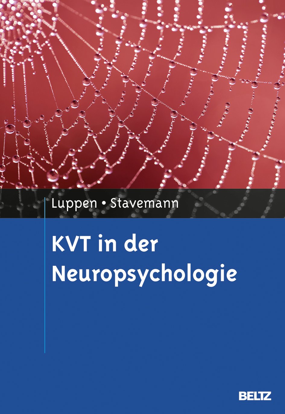 ISBN 9783621280877 "KVT in der Neuropsychologie" – gebraucht ...