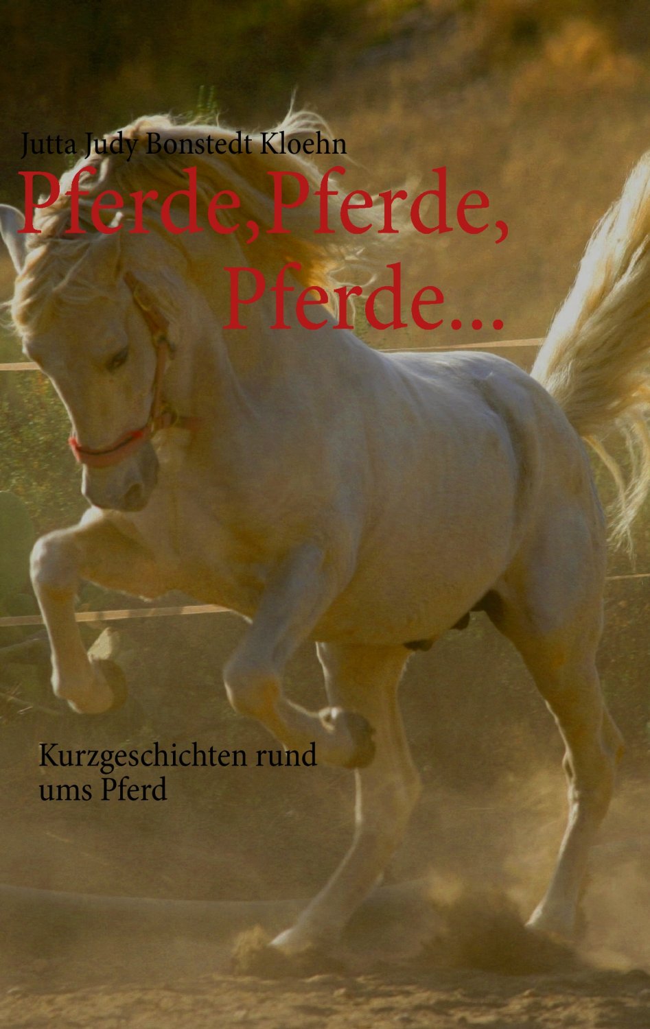 „Pferde, Pferde.“ – Bücher gebraucht, antiquarisch & neu kaufen