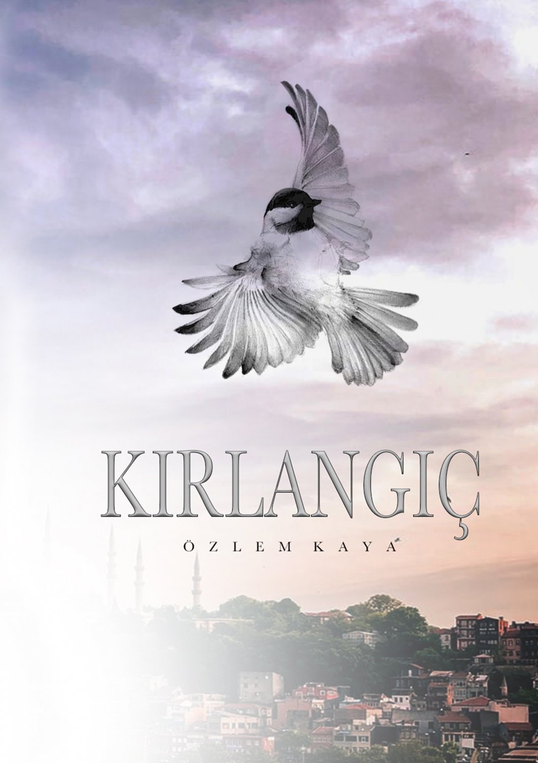 „Kirlangic“ – Bücher gebraucht, antiquarisch & neu kaufen