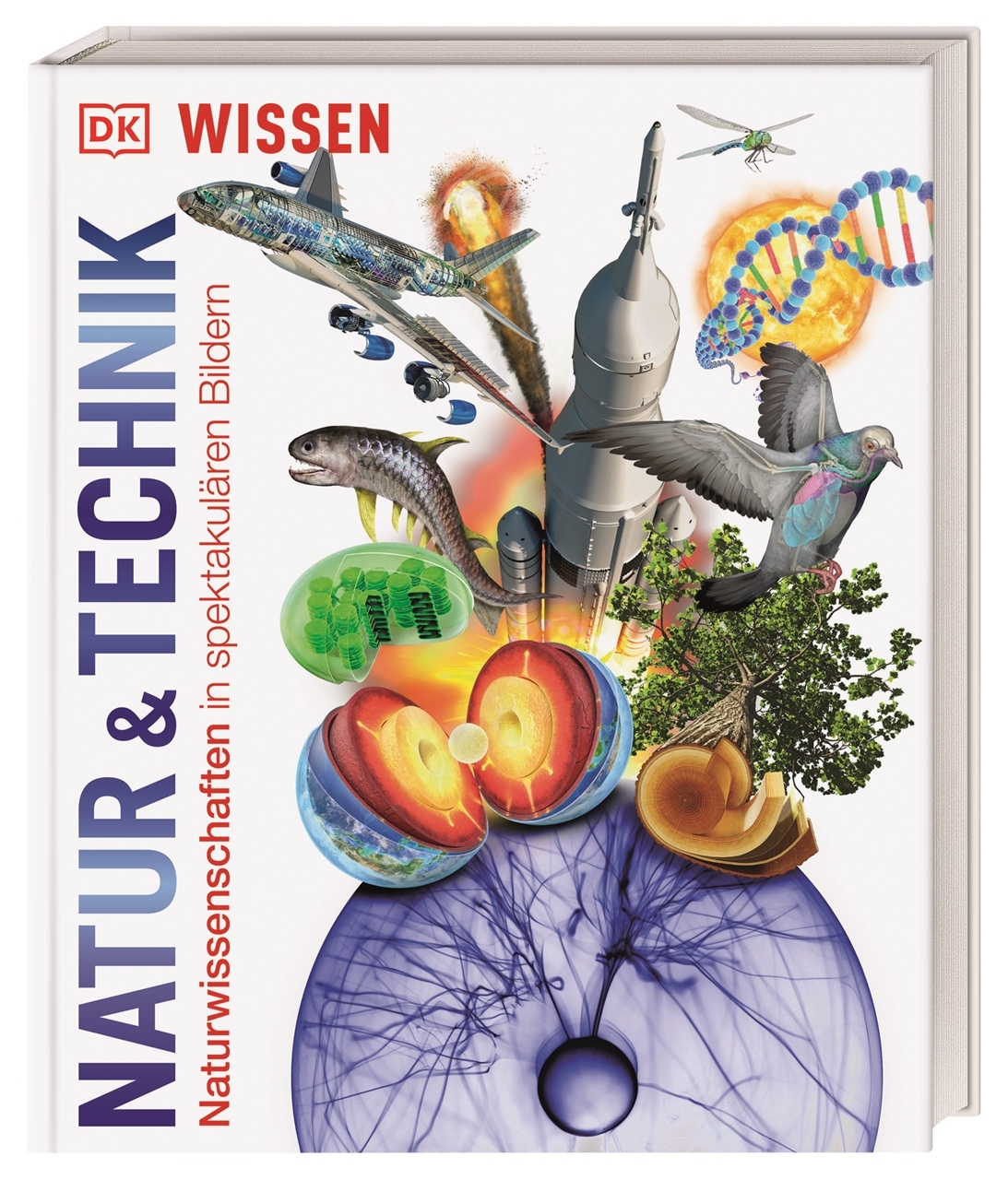 ISBN 9783831038077 "Wissen. Natur & Technik - Naturwissenschaften in ...