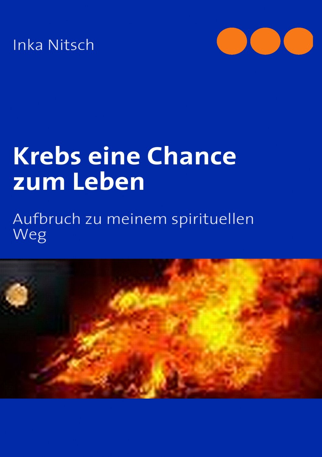 „Nitsch, Inka“ – Bücher gebraucht, antiquarisch & neu kaufen