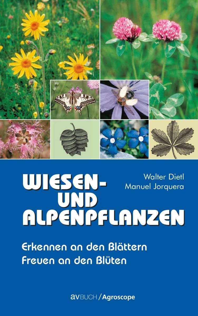 „Wiesen- und Alpenpflanzen - Erkennen an den Blättern Freuen an den ...
