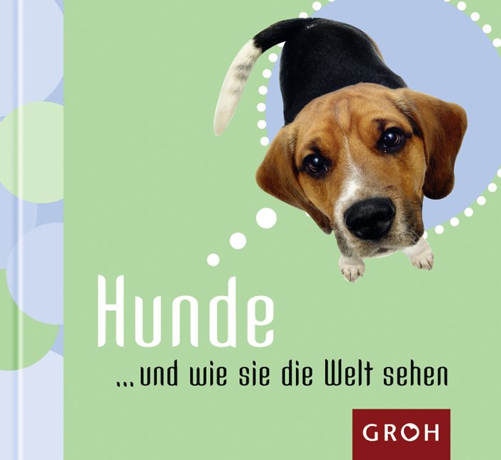 „Hunde... und wie sie die Welt sehen“ (Lilly Brown) – Buch gebraucht ...