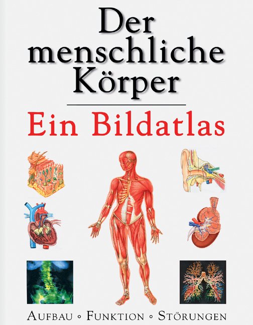 ISBN 3898932826 "Der menschliche Körper - Ein Bildatlas" – gebraucht, antiquarisch & neu kaufen
