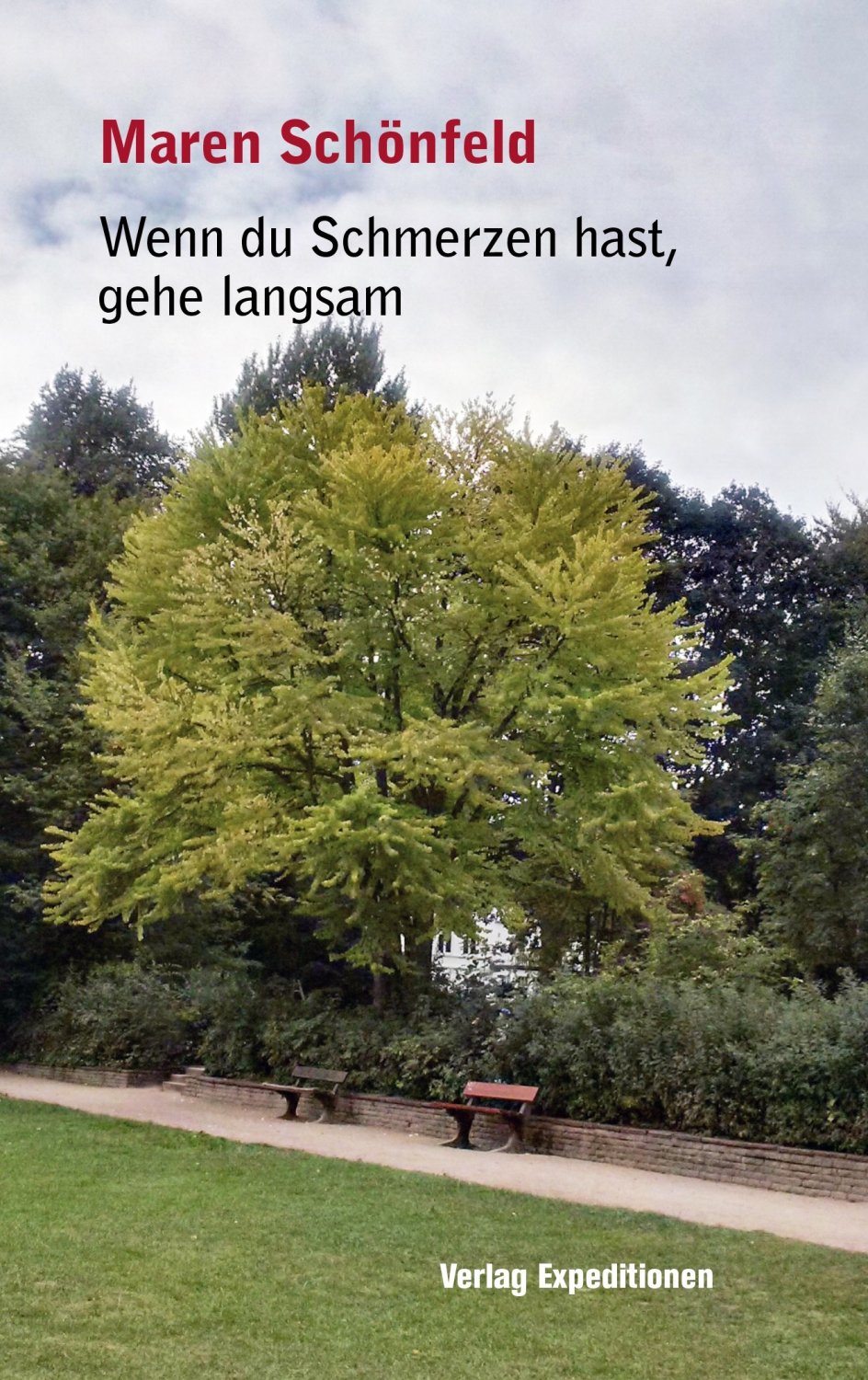 „Wenn du Schmerzen hast gehe langsam | Maren Schönfeld“ – Bücher ...